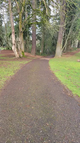 Best Hikes and Trails in Leverich Park | AllTrails