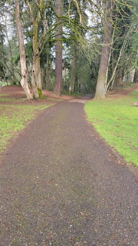 Best Hikes and Trails in Leverich Park | AllTrails