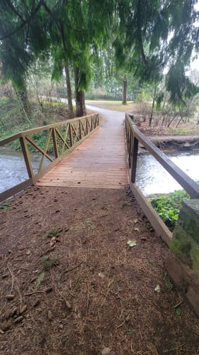 Best Hikes and Trails in Leverich Park | AllTrails