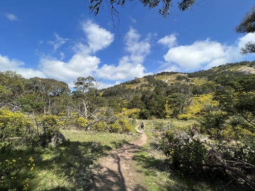 2023 Best 10 Mountain Biking Trails in You Yangs Regional Park | AllTrails