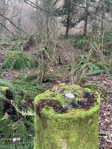 Best Hikes and Trails in Birch Bay State Park | AllTrails