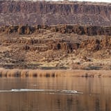 Lenice Lake, Washington - 6 Reviews, Map | AllTrails