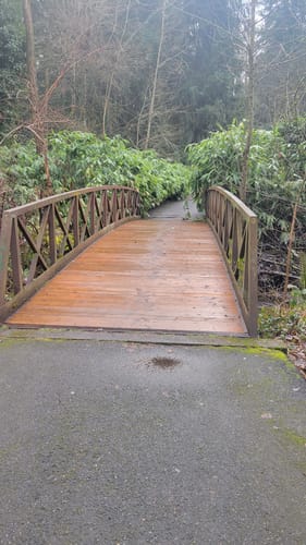 Best Hikes and Trails in Leverich Park | AllTrails