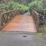 Leverich Park Loop, Washington - 38 Reviews, Map | AllTrails