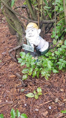 Best Hikes and Trails in Leverich Park | AllTrails