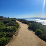 Sunset Cliffs Park Trail, California - 576 Reviews, Map | AllTrails