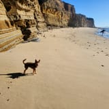 Sunset Cliffs Park Trail, California - 576 Reviews, Map | AllTrails
