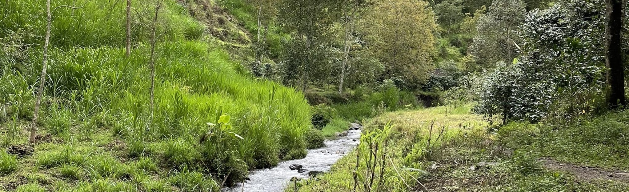 Coban Rondo Pujon Waterfall, East Java, Indonesia - Map, Guide | AllTrails