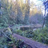 Yellow Point Bog Ecological Reserve and Yellow Point Park Loop, British ...