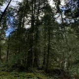 Yellow Point Bog Ecological Reserve and Yellow Point Park Loop, British ...