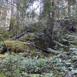 Yellow Point Bog Ecological Reserve and Yellow Point Park Loop, British ...