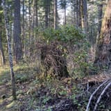 Yellow Point Bog Ecological Reserve and Yellow Point Park Loop, British ...
