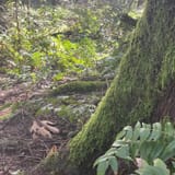 Yellow Point Bog Ecological Reserve and Yellow Point Park Loop, British ...