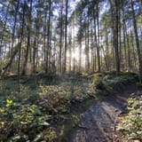 Yellow Point Bog Ecological Reserve and Yellow Point Park Loop, British ...