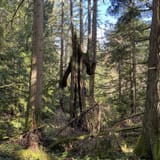 Yellow Point Bog Ecological Reserve and Yellow Point Park Loop, British ...