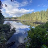 Yellow Point Bog Ecological Reserve and Yellow Point Park Loop, British ...