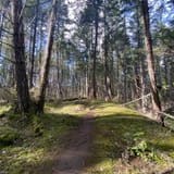 Yellow Point Bog Ecological Reserve and Yellow Point Park Loop, British ...