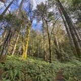 Yellow Point Bog Ecological Reserve and Yellow Point Park Loop, British ...