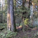 Yellow Point Bog Ecological Reserve and Yellow Point Park Loop, British ...