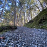 Yellow Point Bog Ecological Reserve and Yellow Point Park Loop, British ...