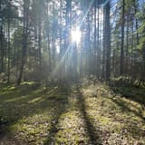 Yellow Point Bog Ecological Reserve and Yellow Point Park Loop, British ...