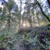 Yellow Point Bog Ecological Reserve and Yellow Point Park Loop, British ...