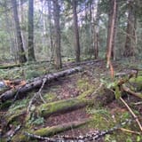 Yellow Point Bog Ecological Reserve and Yellow Point Park Loop, British ...