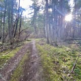 Yellow Point Bog Ecological Reserve and Yellow Point Park Loop, British ...