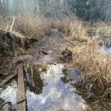 Yellow Point Bog Ecological Reserve and Yellow Point Park Loop, British ...