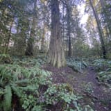 Yellow Point Bog Ecological Reserve and Yellow Point Park Loop, British ...