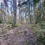 Yellow Point Bog Ecological Reserve and Yellow Point Park Loop, British ...