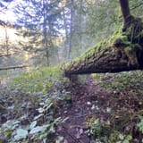 Yellow Point Bog Ecological Reserve and Yellow Point Park Loop, British ...