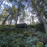 Yellow Point Bog Ecological Reserve and Yellow Point Park Loop, British ...