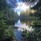 Yellow Point Bog Ecological Reserve and Yellow Point Park Loop, British ...