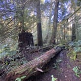 Yellow Point Bog Ecological Reserve and Yellow Point Park Loop, British ...