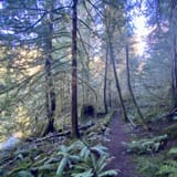 Yellow Point Bog Ecological Reserve and Yellow Point Park Loop, British ...
