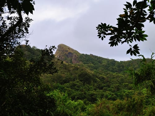 2023 Best Backpacking Trails in Mount Palay - Palay National Park ...