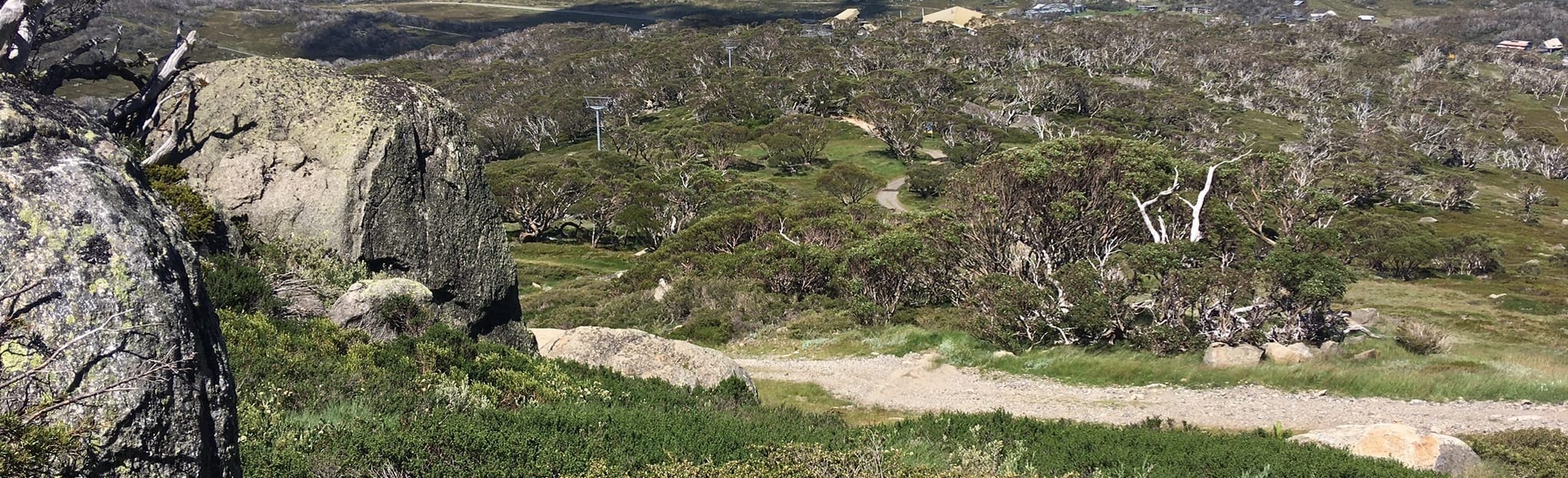 Mt Perisher Loop, New South Wales, Australia - 15 Reviews, Map | AllTrails