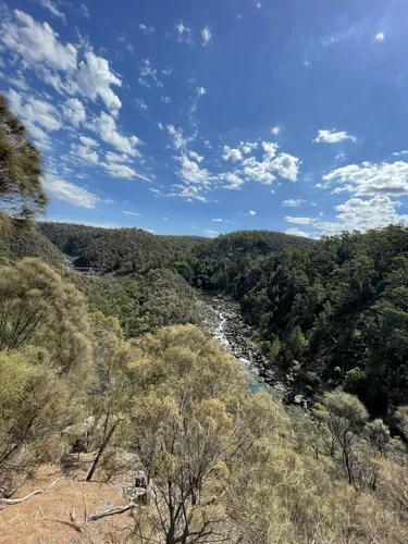 10 Best Walking Trails in Cataract Gorge Reserve | AllTrails