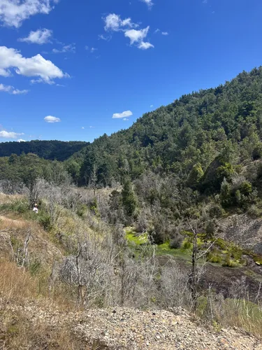 Best 10 Hikes and Trails in Victoria Forest Park | AllTrails