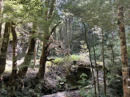2023 Best Historic Site Trails in Victoria Forest Park | AllTrails