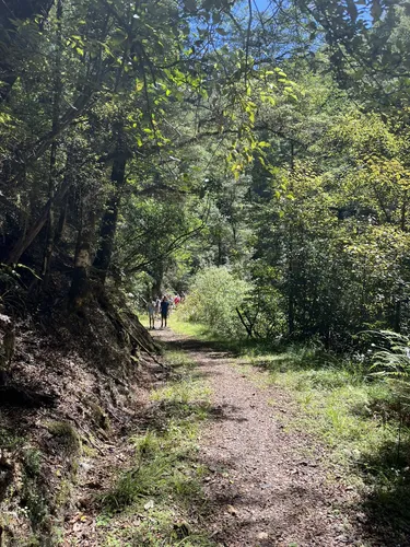 2023 Best 10 Forest Trails in Victoria Forest Park | AllTrails