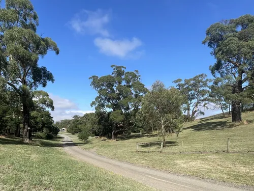 Best Camping Trails in Creswick State Forest | AllTrails