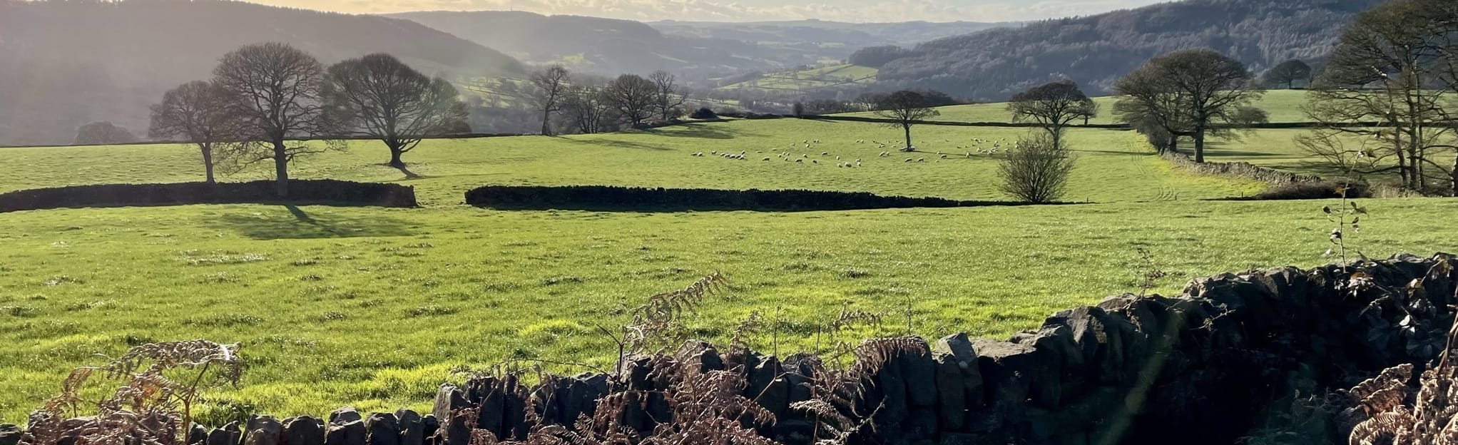 Beeley Moor Short Circular: 61 Reviews, Map - Derbyshire, England ...