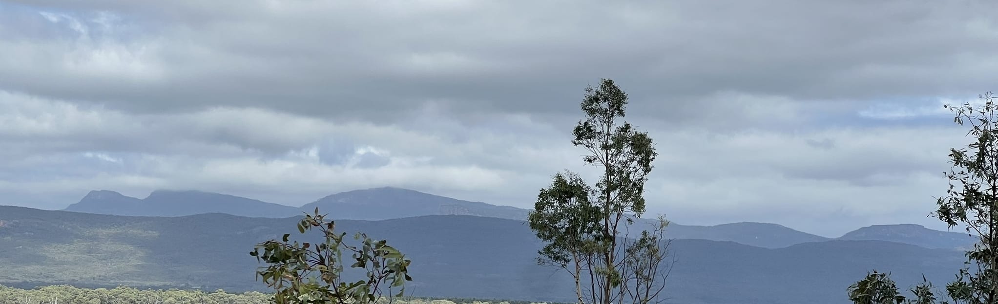 Lake Fyans Loop, Victoria, Australia - 9 Reviews, Map | AllTrails