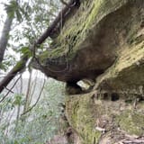 Red Byrd Arch, Kentucky - 226 Reviews, Map | AllTrails