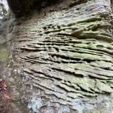Red Byrd Arch, Kentucky - 226 Reviews, Map | AllTrails