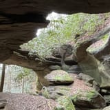 Red Byrd Arch, Kentucky - 226 Reviews, Map | AllTrails