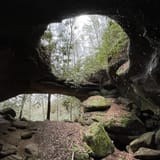 Red Byrd Arch, Kentucky - 226 Reviews, Map | AllTrails