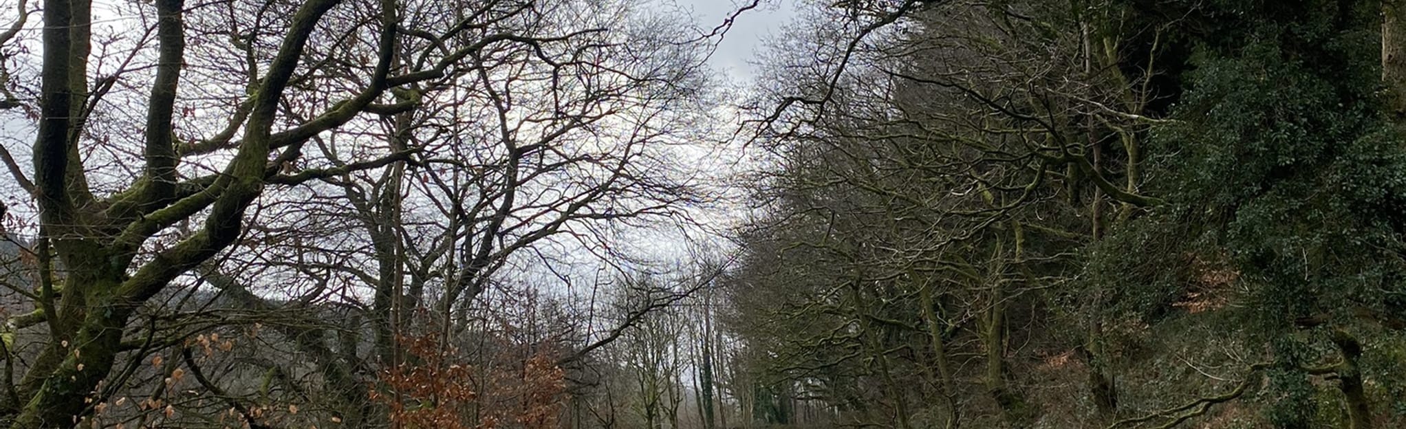 Merthyr Vale - The Gap, 18 Fotos - Merthyr Tydfil, Wales | AllTrails